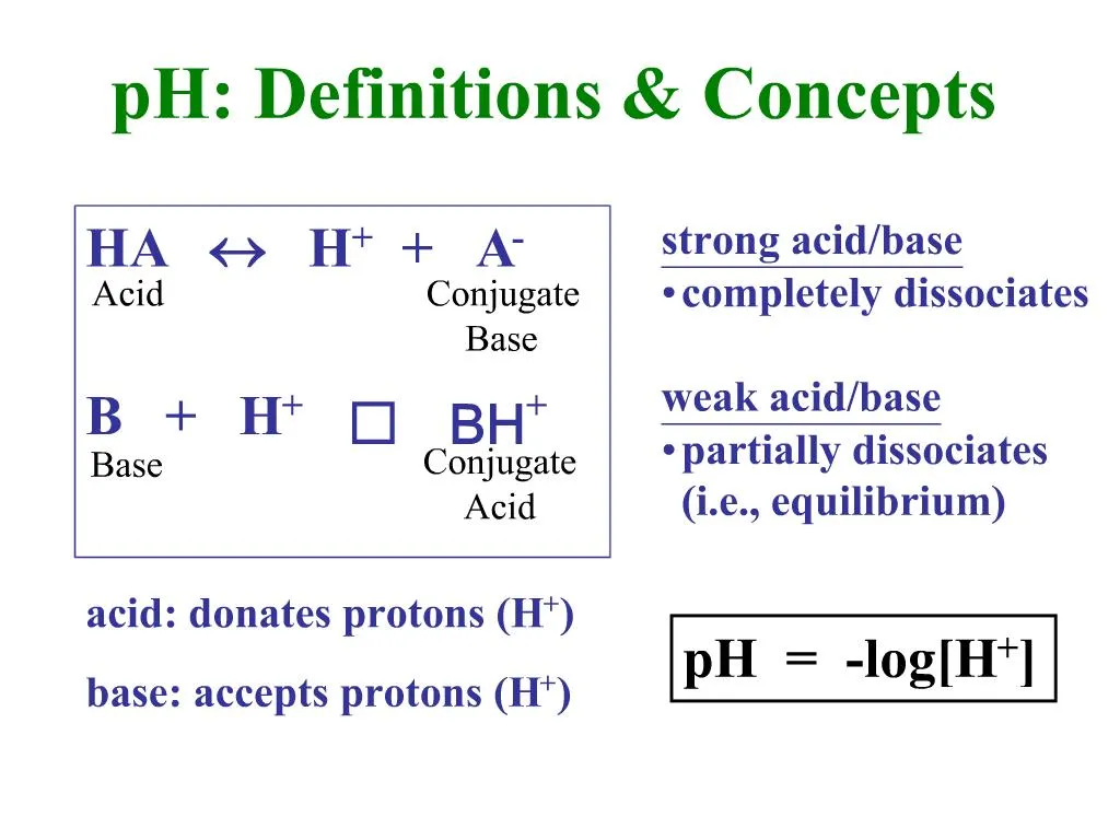 PPT - Acid: donates protons H base: accepts protons H PowerPoint ...