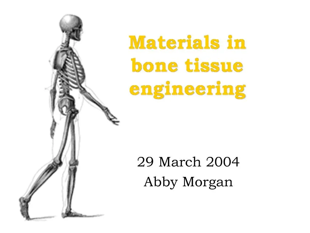 PPT - Materials in bone tissue engineering PowerPoint Presentation, free download - ID:1025874