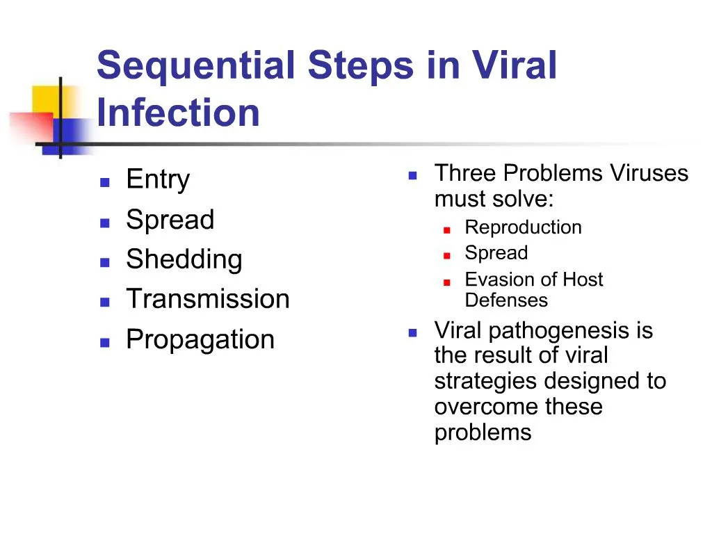 PPT - Sequential Steps in Viral Infection PowerPoint Presentation, free ...