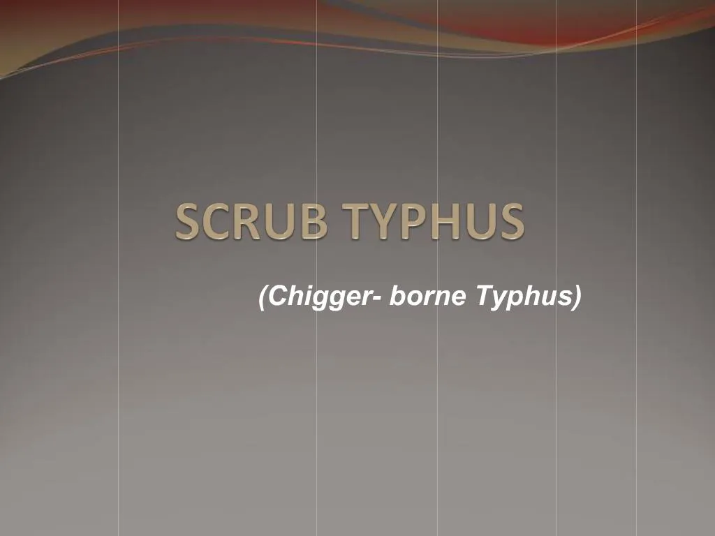 PPT - SCRUB TYPHUS PowerPoint Presentation, free download - ID:1031104