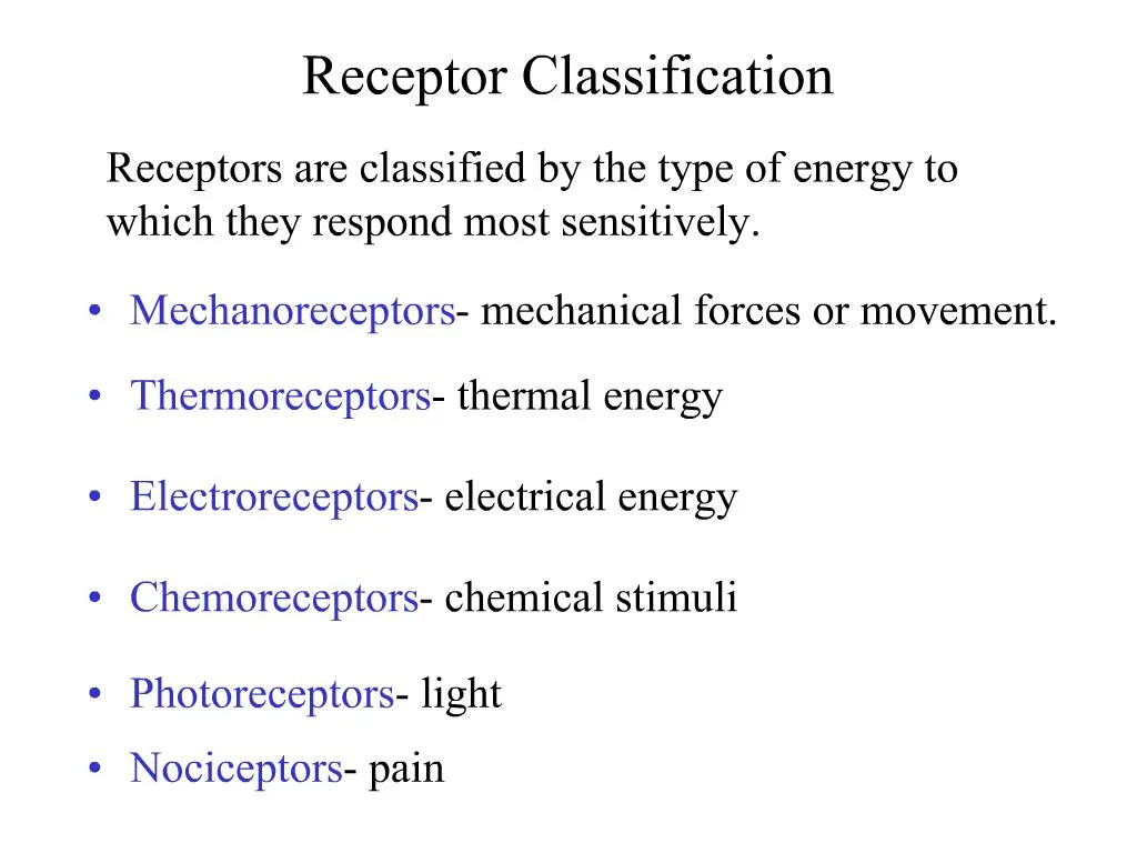 PPT - Receptor Classification PowerPoint Presentation, free download ...
