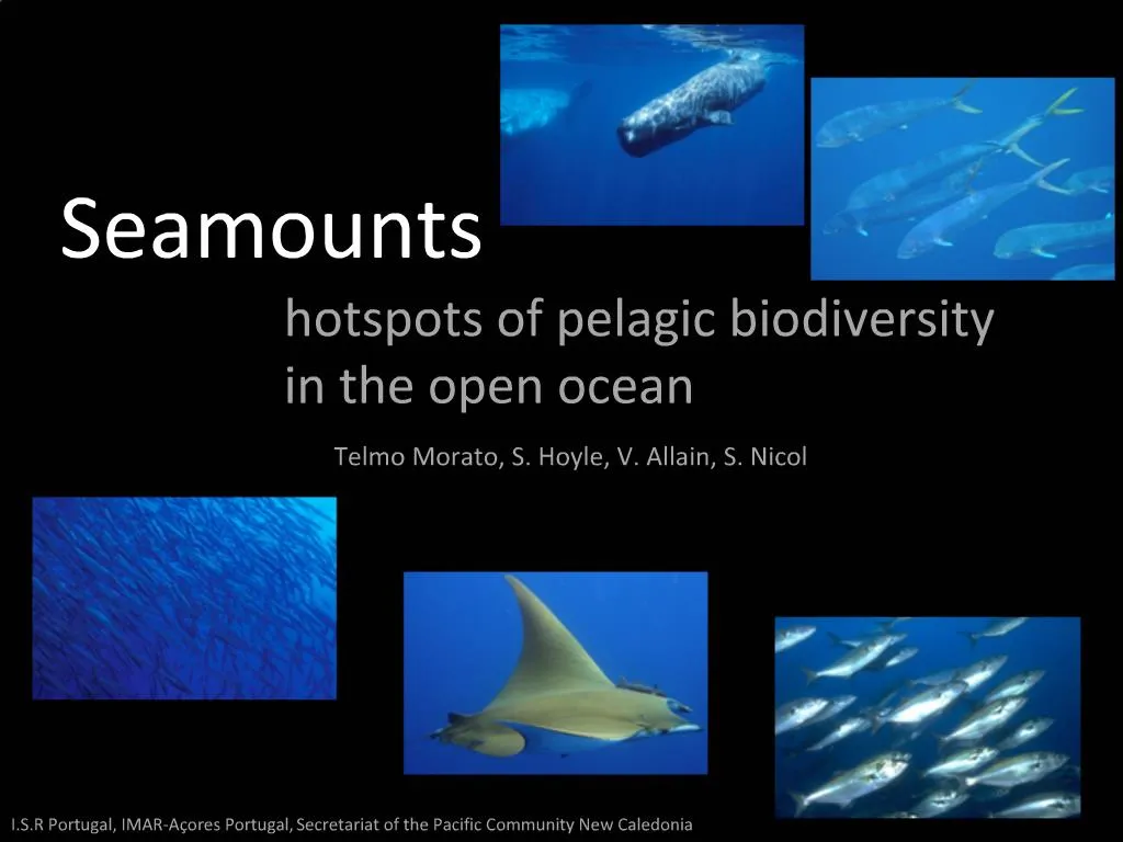 PPT - Seamounts hotspots of pelagic biodiversity in the open ocean ...