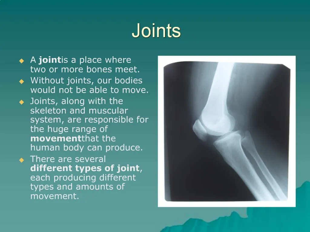 PPT - Joints PowerPoint Presentation, free download - ID:1043751