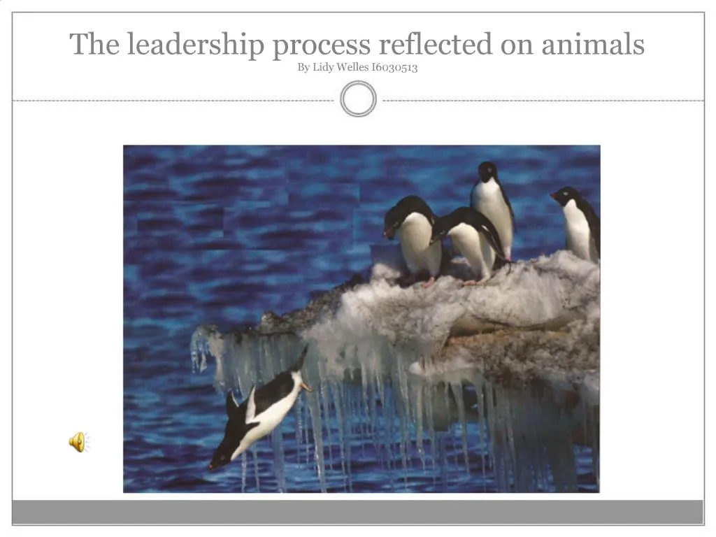 PPT - The leadership process reflected on animals By Lidy Welles ...