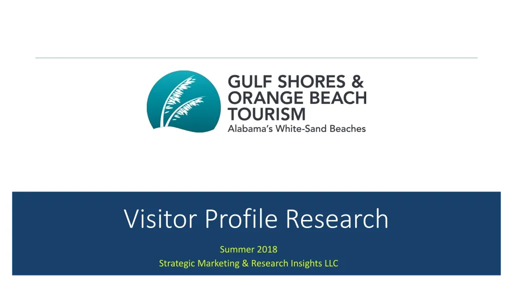 PPT - Visitor Profile Research PowerPoint Presentation, free download ...