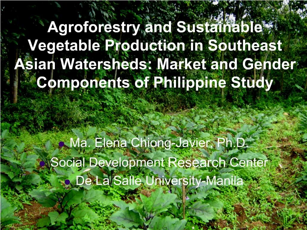 PPT - Agroforestry and Sustainable Vegetable Production in Southeast ...