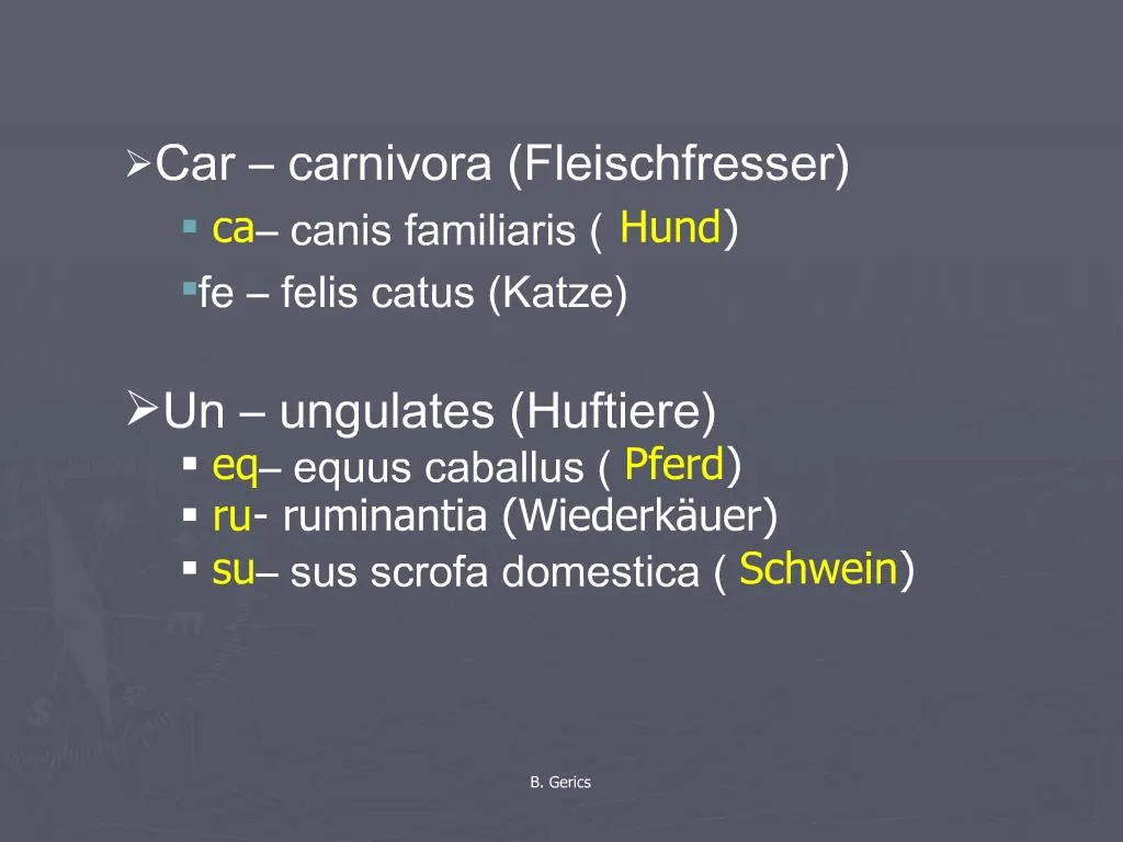 PPT - Car carnivora Fleischfresser ca canis familiaris Hund fe felis ...