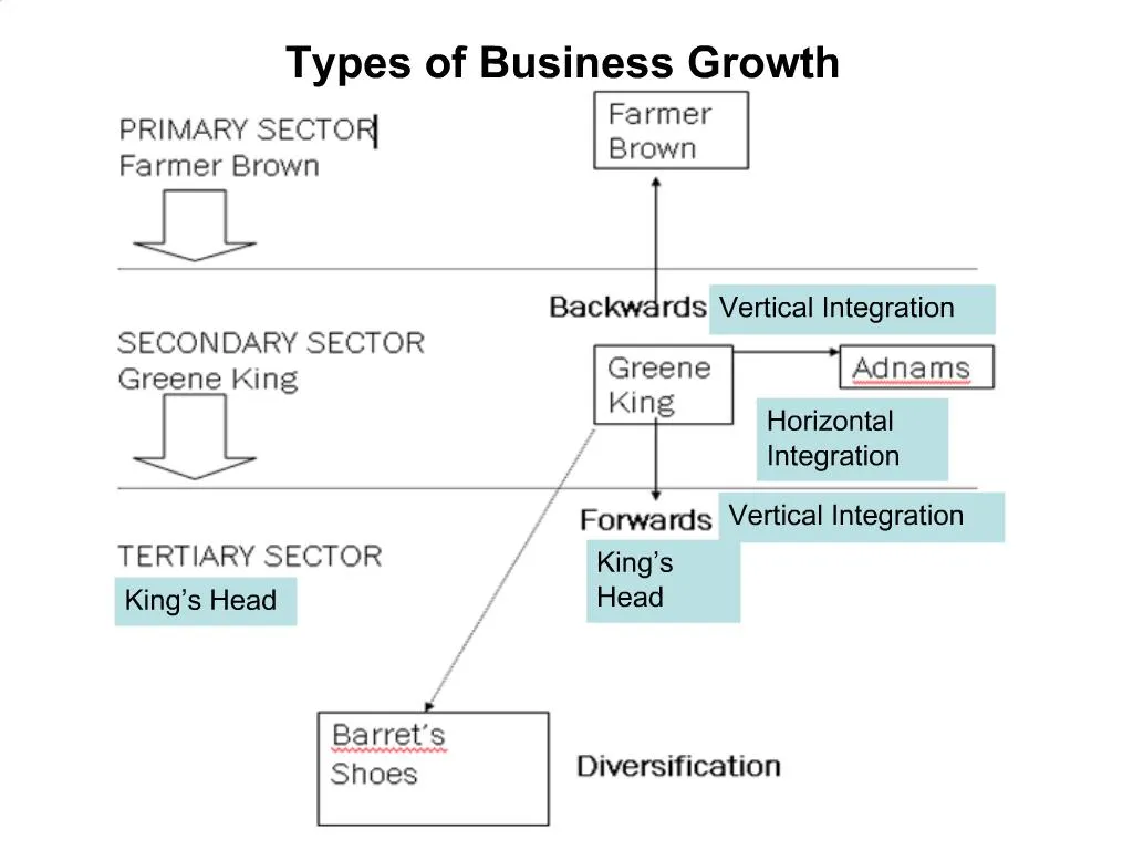 PPT - Types of Business Growth PowerPoint Presentation, free download ...