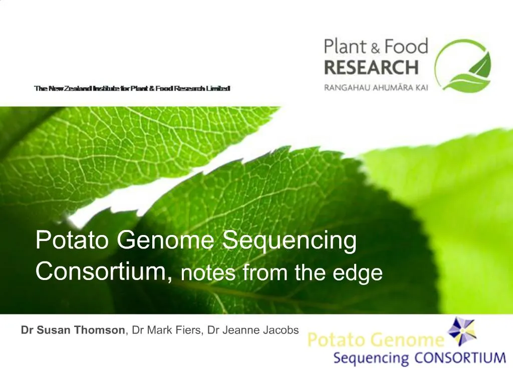 PPT - Potato Genome Sequencing Consortium, notes from the edge ...