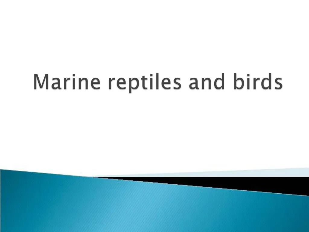 PPT - Marine reptiles and birds PowerPoint Presentation, free download ...