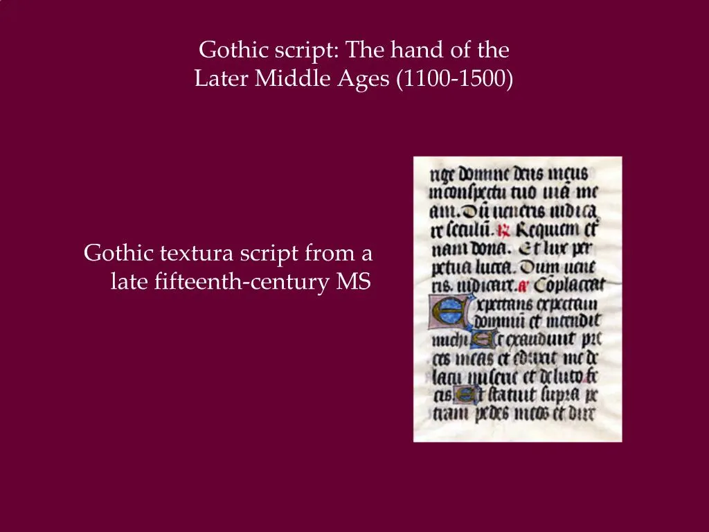 PPT - Gothic script: The hand of the Later Middle Ages 1100-1500 ...