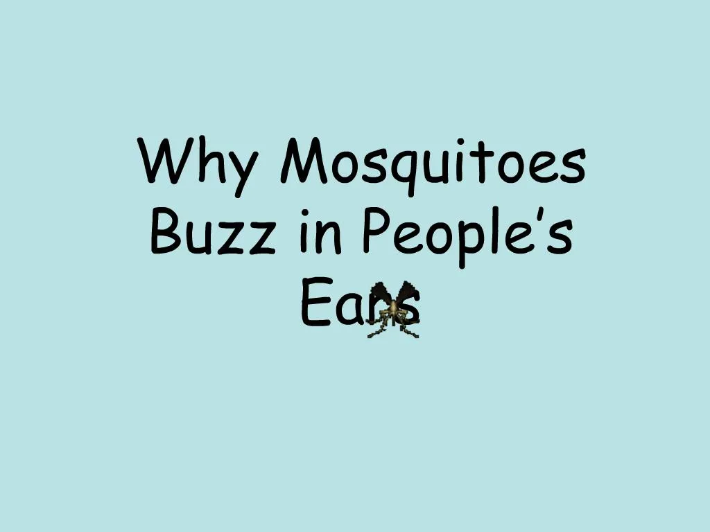 PPT - Why Mosquitoes Buzz in People s Ears PowerPoint Presentation ...