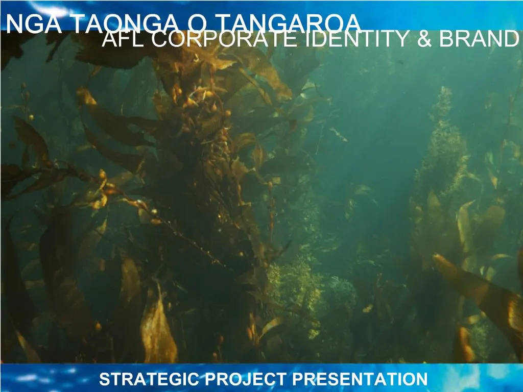 PPT - NGA TAONGA O TANGAROA PowerPoint Presentation, free download - ID ...