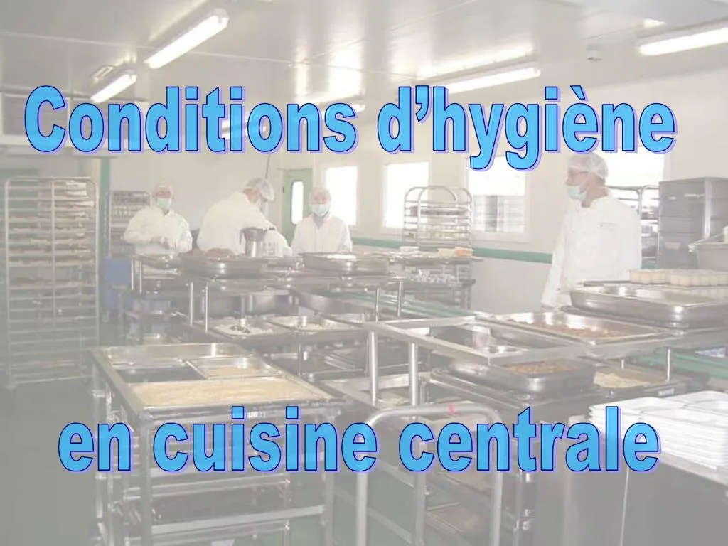 PPT - Conditions d hygi ne en cuisine centrale PowerPoint Presentation - ID:1092714