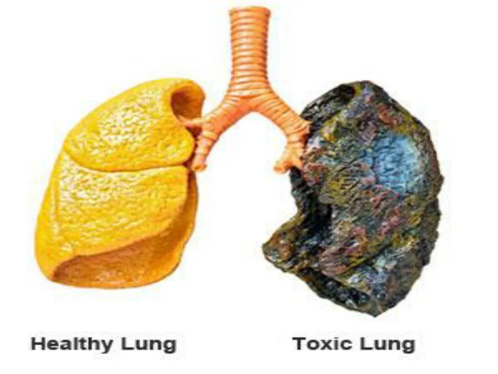 PPT - Cleaning Tar From Lungs PowerPoint Presentation, free download ...
