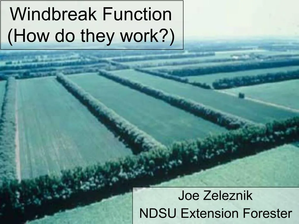 PPT - Windbreak Function How do they work PowerPoint Presentation, free ...