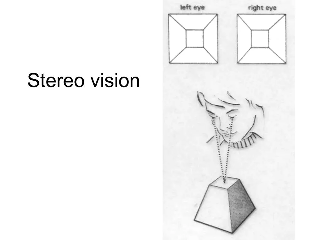 PPT - Stereo vision PowerPoint Presentation, free download - ID:1114880