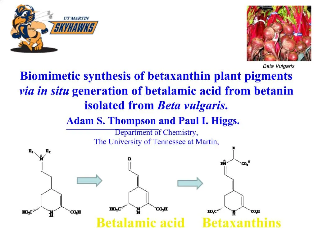 PPT - Biomimetic synthesis of betaxanthin plant pigments via in situ ...