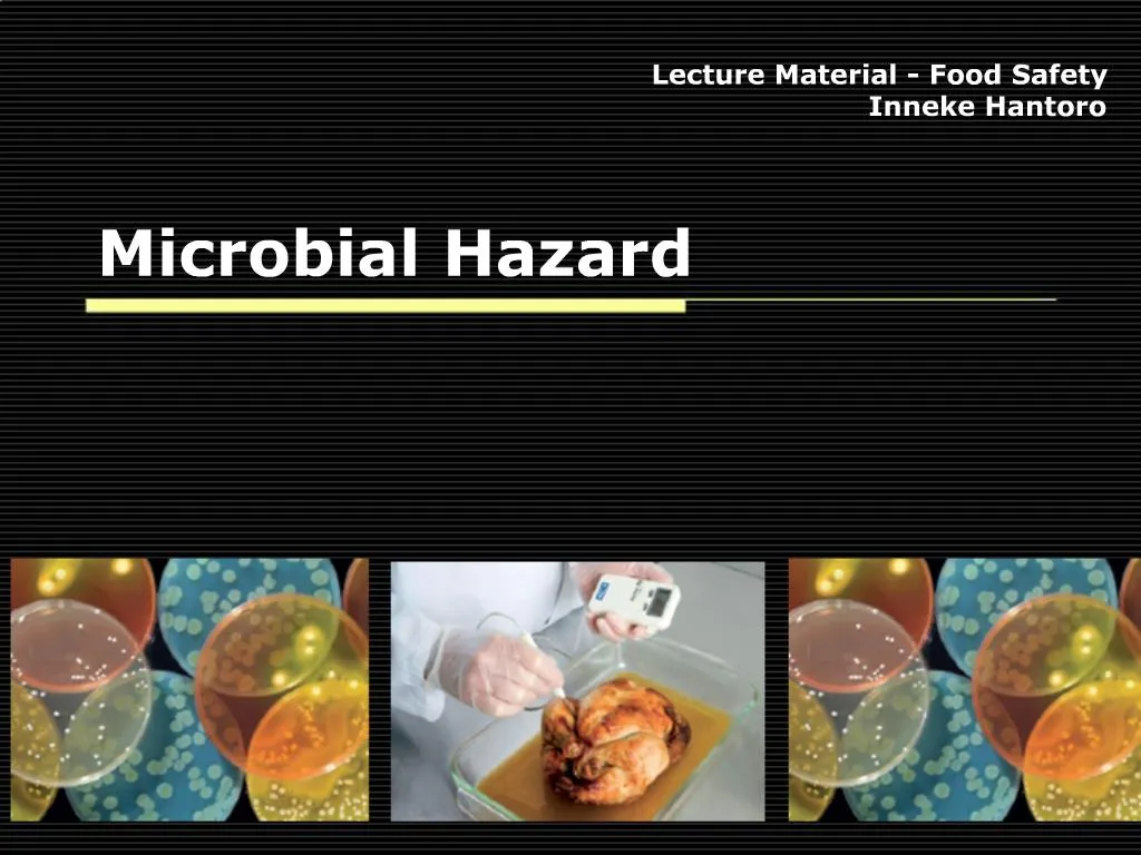 PPT - Microbial Hazard PowerPoint Presentation, free download - ID:1138010