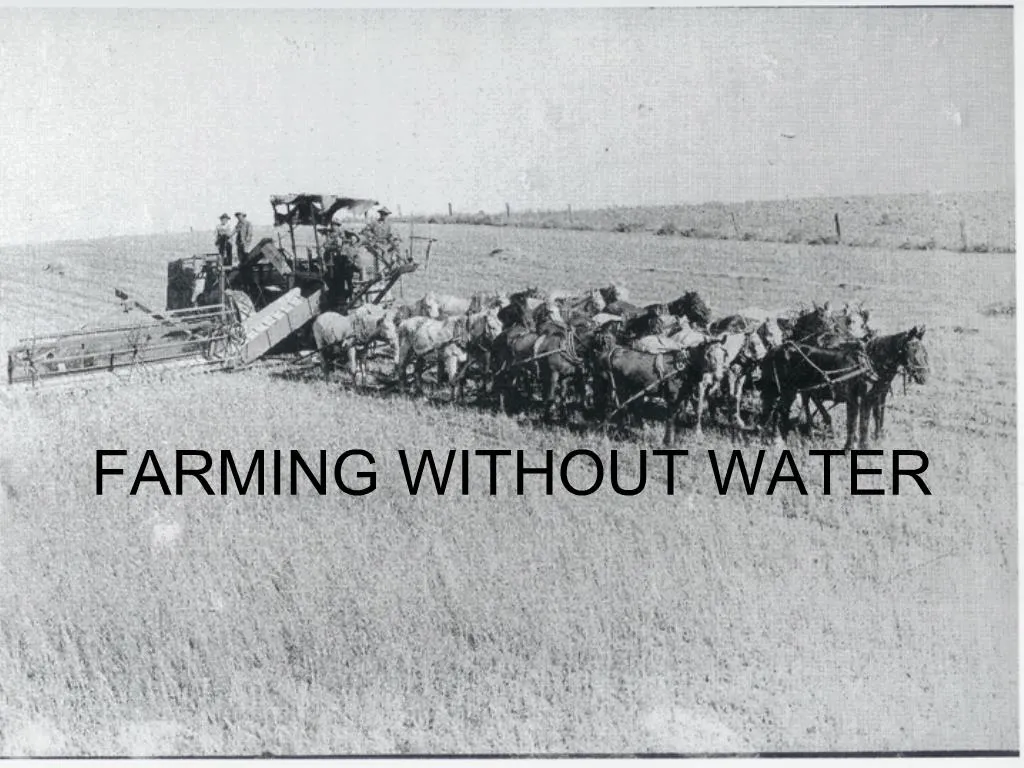 PPT - FARMING WITHOUT WATER PowerPoint Presentation, free download - ID ...