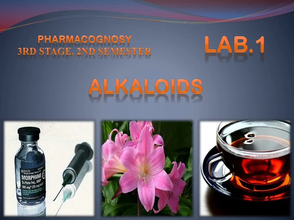 PPT - ALKALOIDS PowerPoint Presentation, free download - ID:1145402
