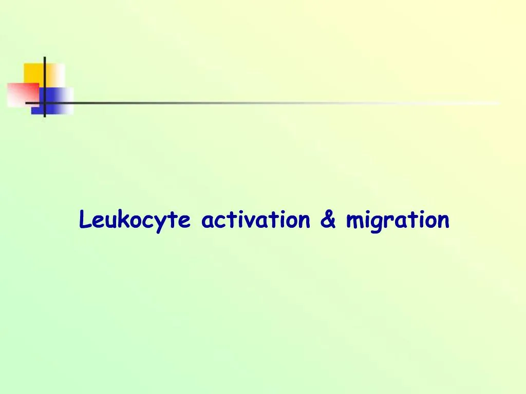 PPT - Leukocyte activation migration PowerPoint Presentation, free ...