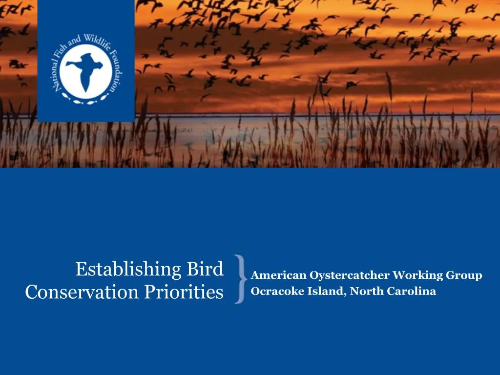 PPT - Establishing Bird Conservation Priorities PowerPoint Presentation ...
