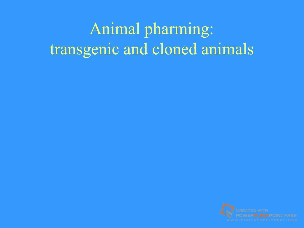PPT - Animal pharming: PowerPoint Presentation, free download - ID:115429