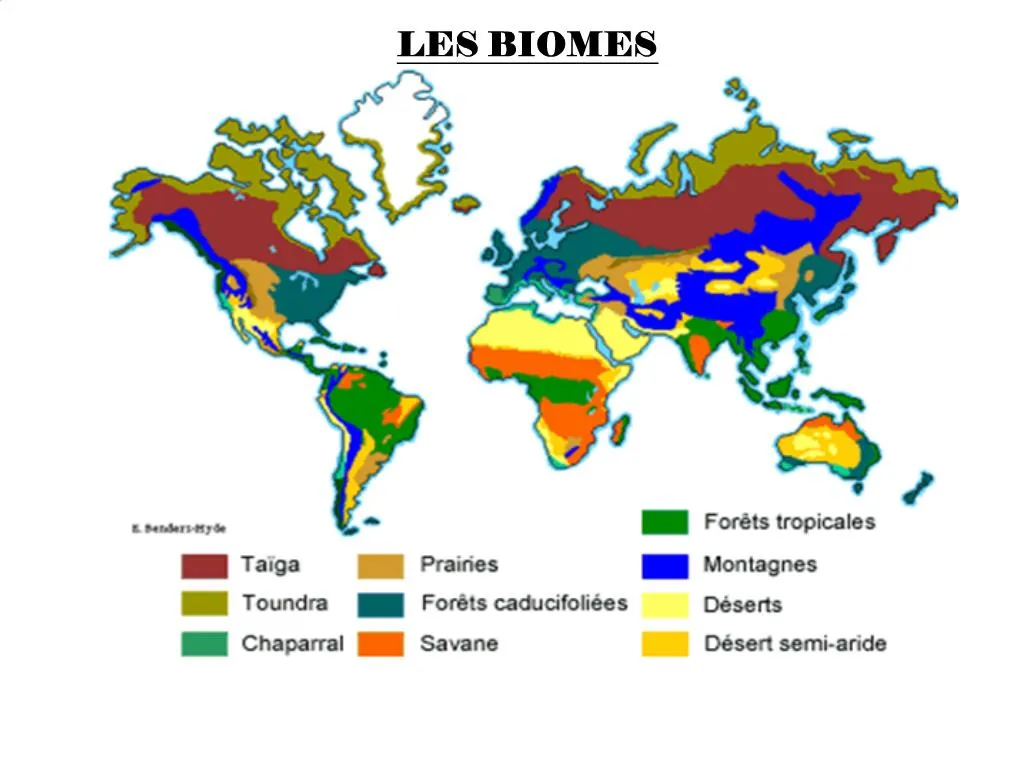PPT - Les biomes PowerPoint Presentation, free download - ID:1174654