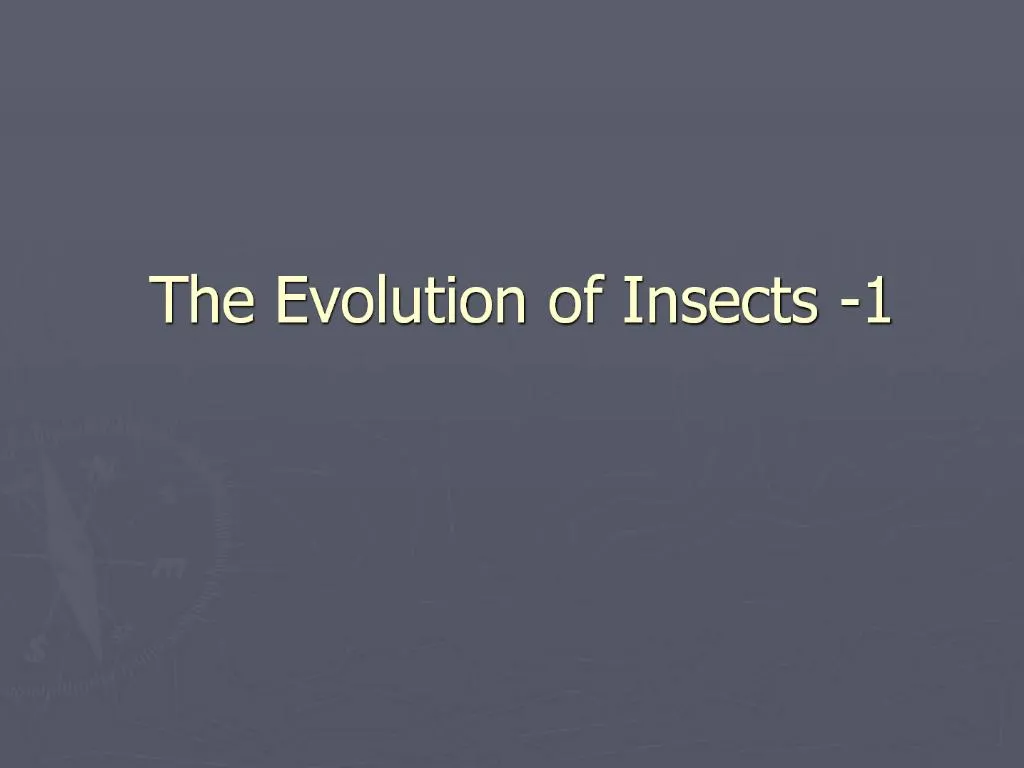 PPT - The Evolution of Insects -1 PowerPoint Presentation, free ...