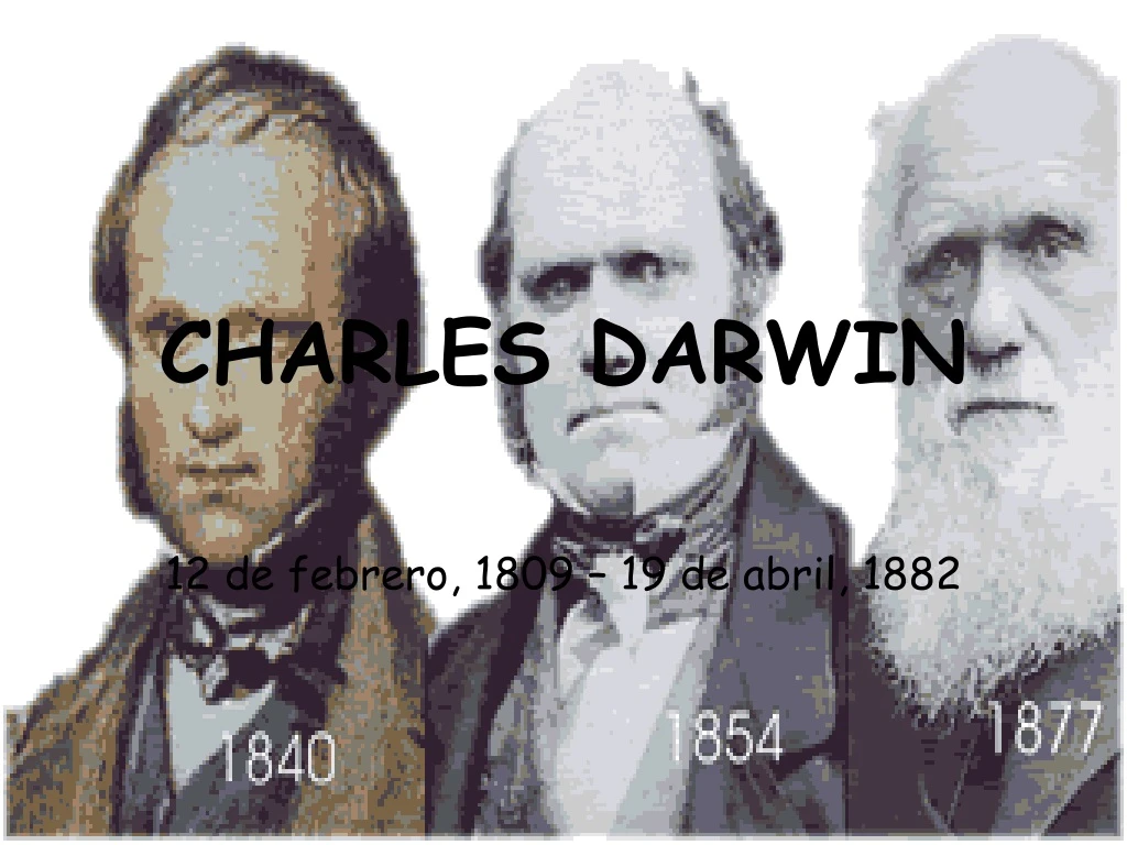 PPT - Darwin PowerPoint Presentation, free download - ID:1188