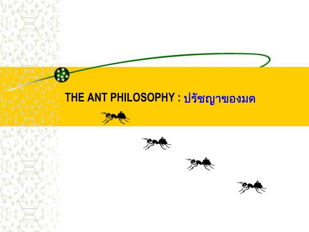 PPT - THE ANT PHILOSOPHY : PowerPoint Presentation, free download - ID ...