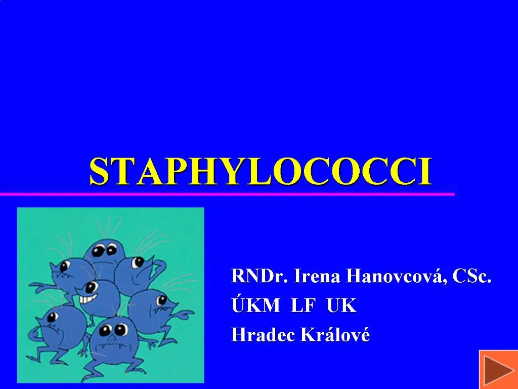 PPT - STAPHYLOCOCCI PowerPoint Presentation, free download - ID:1202838