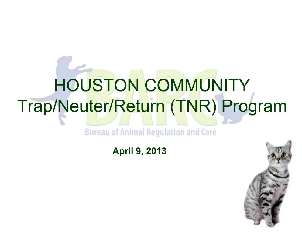 PPT - HOUSTON COMMUNITY TrapNeuterReturn TNR Program PowerPoint ...