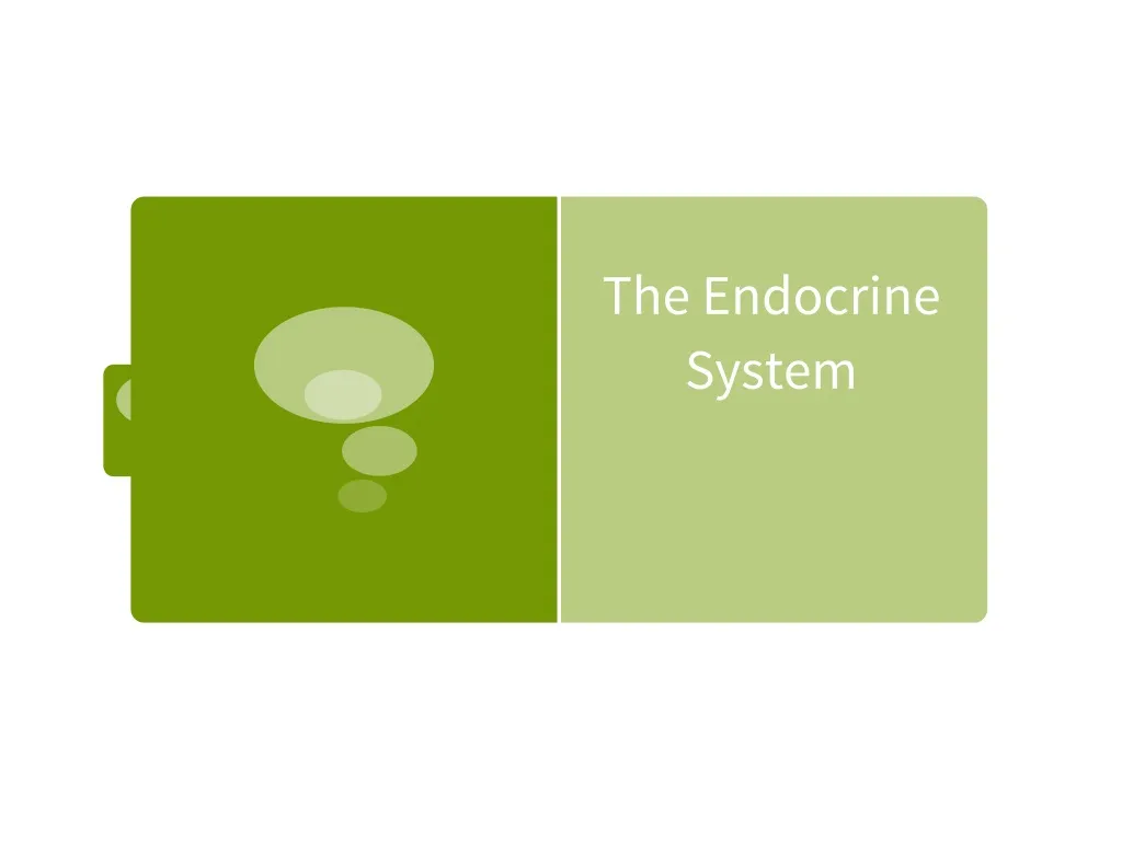 PPT - The Endocrine System PowerPoint Presentation, free download - ID ...