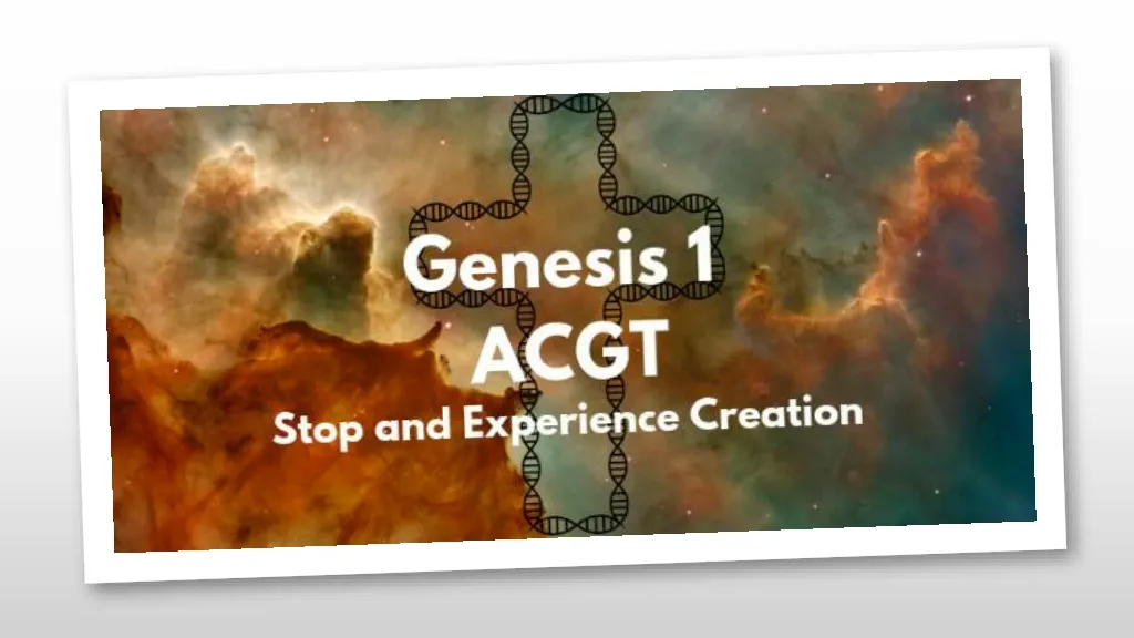 PPT - Genesis 1:26 (NRSV) PowerPoint Presentation, free download - ID ...