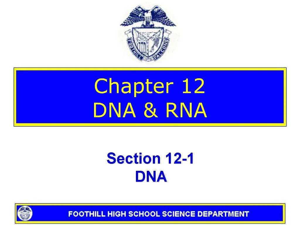 PPT - Chapter 12 DNA RNA PowerPoint Presentation, free download - ID ...