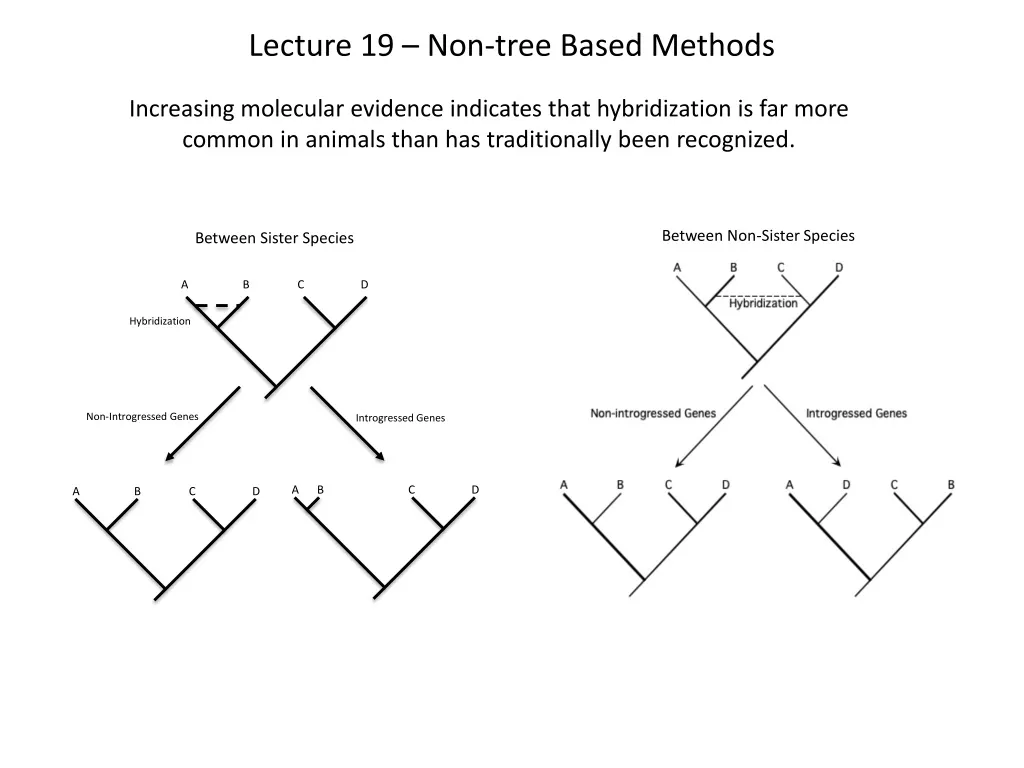 PPT - Lecture 19 – Non-tree Based Methods PowerPoint Presentation, free download - ID:1258880