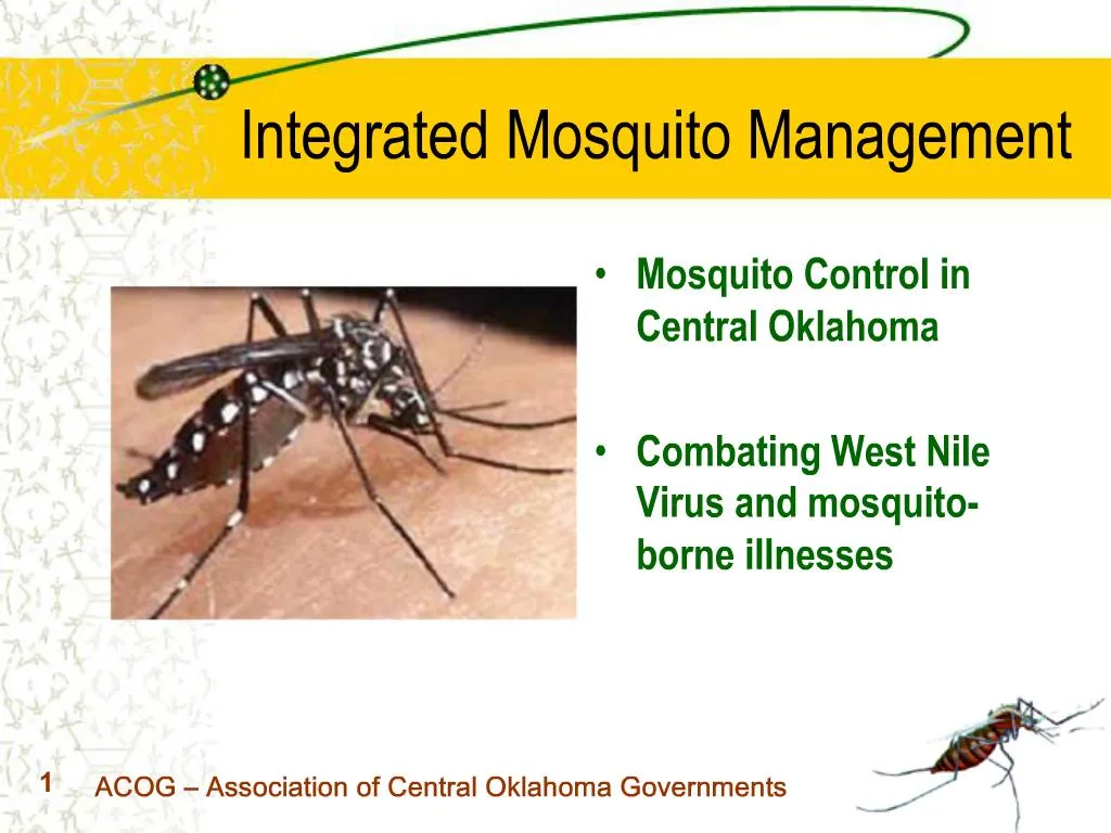 PPT - Integrated Mosquito Management PowerPoint Presentation, free ...