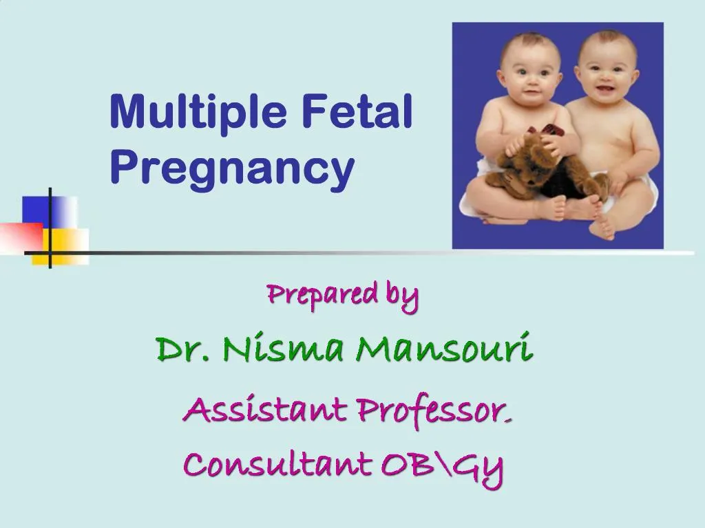 PPT - Multiple Fetal Pregnancy PowerPoint Presentation, free download - ID:1282240