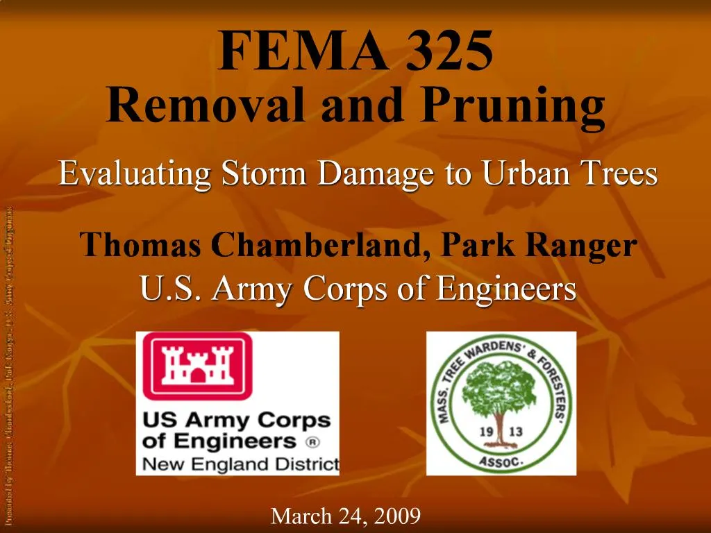 PPT - FEMA 325 Removal and Pruning PowerPoint Presentation, free ...