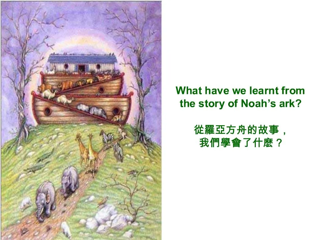 PPT - What have we learnt from the story of Noah s ark PowerPoint ...