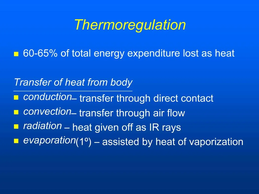 PPT - Thermoregulation PowerPoint Presentation, free download - ID:1322904