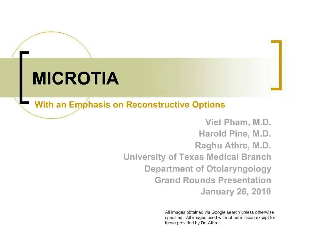PPT - MICROTIA PowerPoint Presentation, free download - ID:1327815