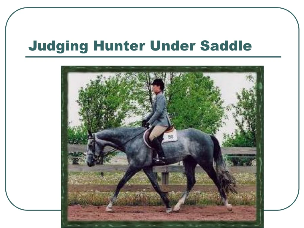 PPT - Judging Hunter Under Saddle PowerPoint Presentation, free ...