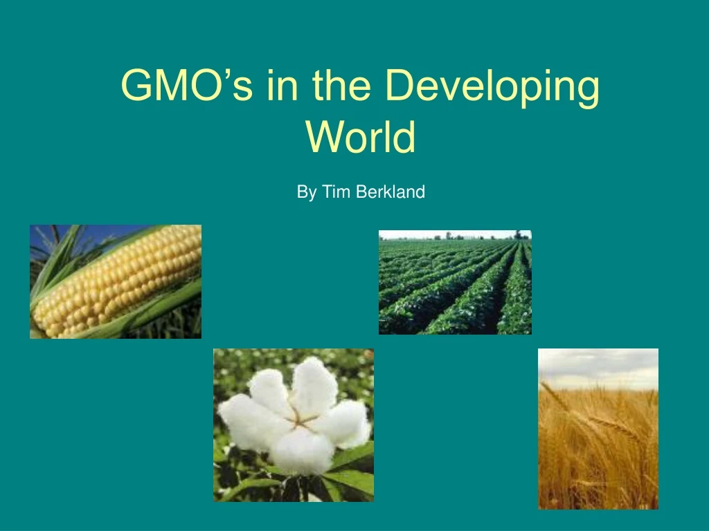PPT - GMO's in the Developing World PowerPoint Presentation, free ...