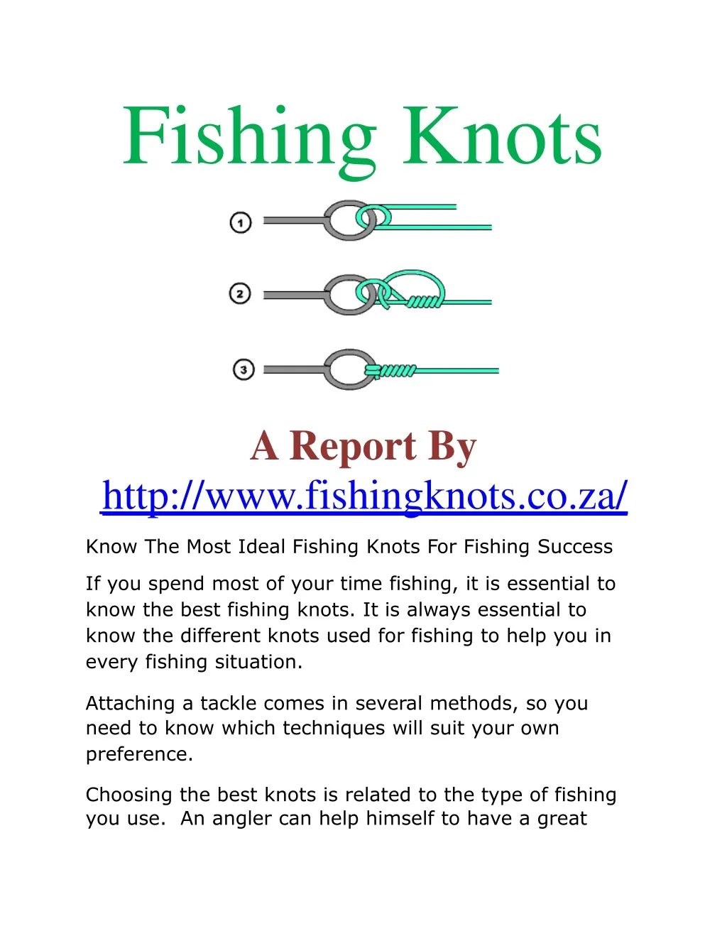 PPT - Fishing Knots PowerPoint Presentation, free download - ID:1357355