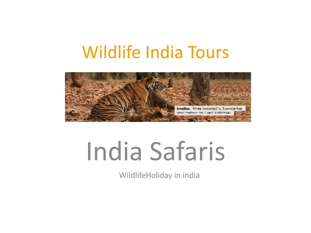 PPT - Wildlife India Tours PowerPoint Presentation, free download - ID ...