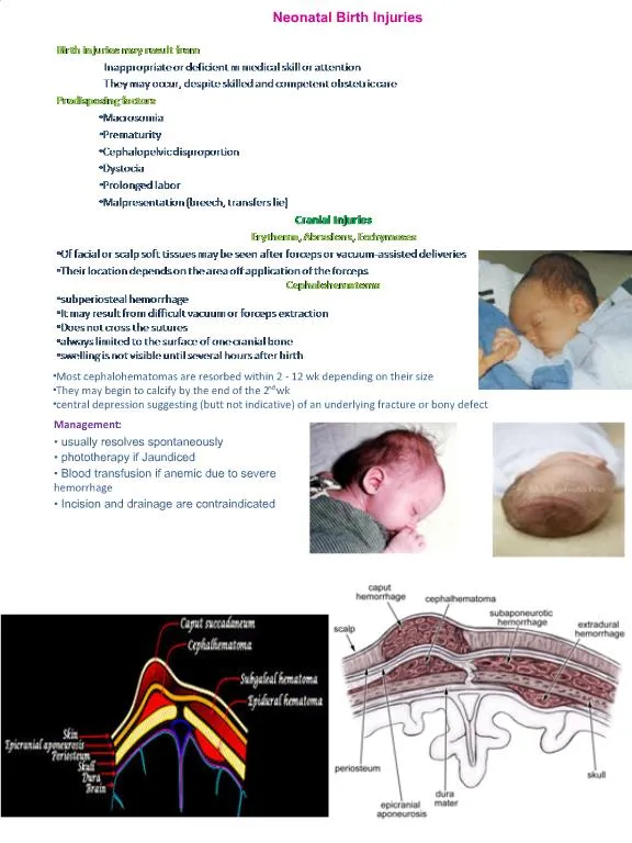 PPT - Neonatal Birth Injuries PowerPoint Presentation, free download ...