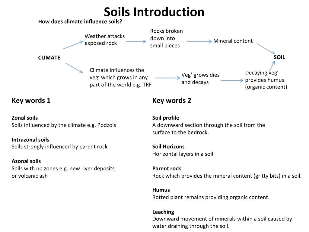 PPT - Soils Introduction PowerPoint Presentation, free download - ID ...